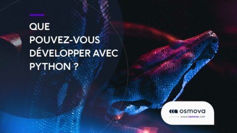 Développement Python : 32 exemples d'applications projets